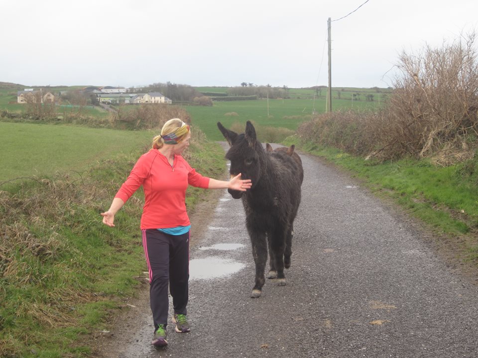 57 Things I Love About My Irish Hood | Ann Sheybani